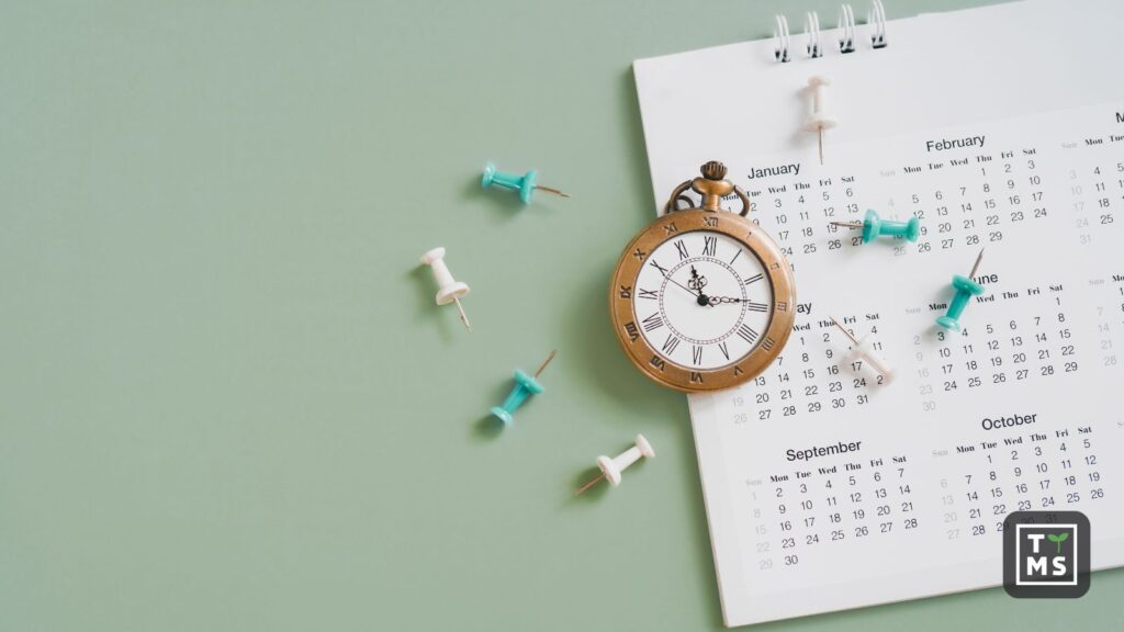 How Long Does It Take to Develop a Training Program for employees | TTMS