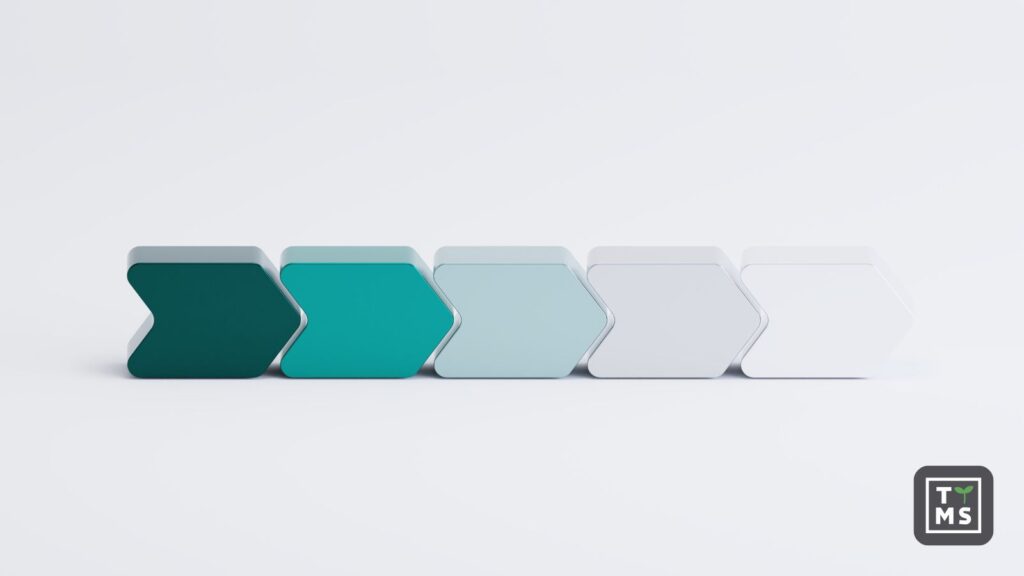 How Long Does It Take to Develop a Training Program for employees | TTMS