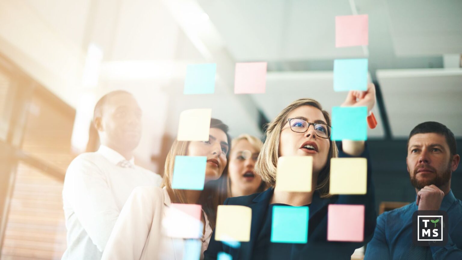 How Long Does It Take to Develop a Training Program for employees | TTMS