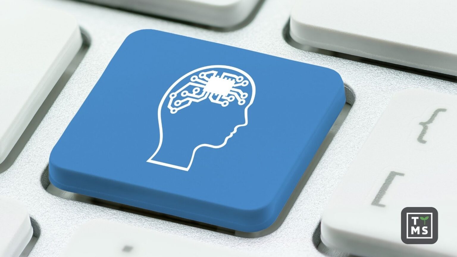 Use Ai To Boost Operational Efficiency In Your Business Ttms