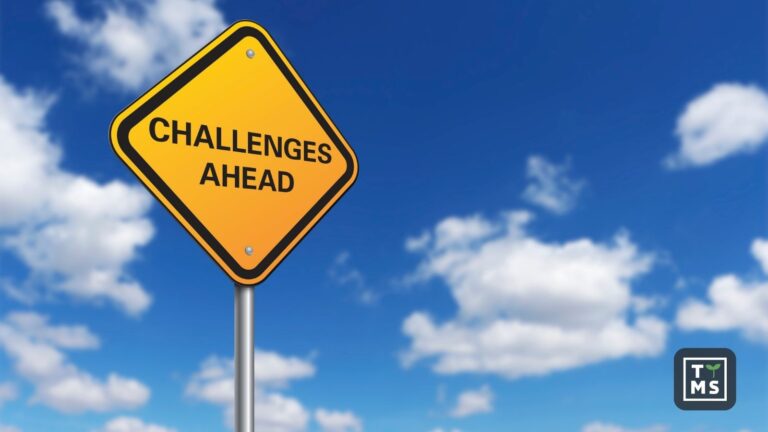 What are Power BI Implementation Challenges? | TTMS